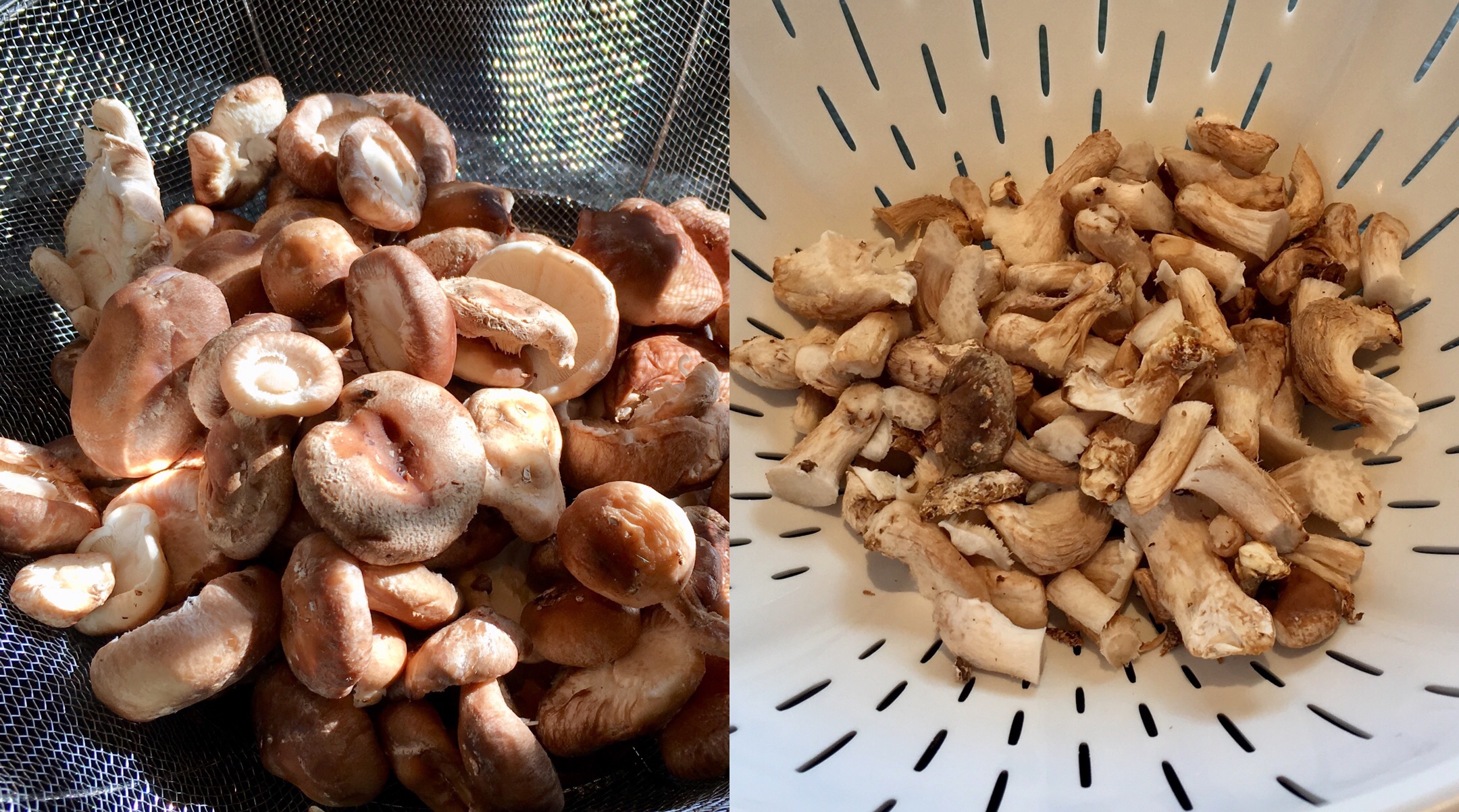 Don’t throw away those Shiitake Stems – Place at the Table